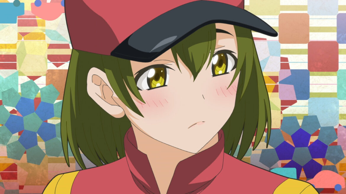 Dogeza de Tanondemita T.V. Media Review Episode 1 | Anime Solution