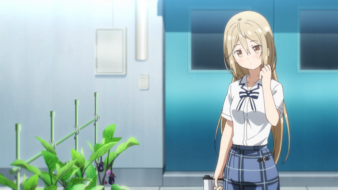 One Room 3 T.V. Media Review Episode 1 | Anime Solution